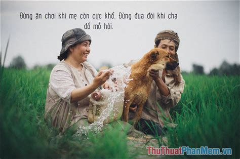 Những Câu Nói Hay Về đạo Làm Con
