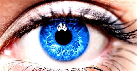 Descubren Que Los Ojos Azules Procedente De Un Humano Que Vivió Hace 10