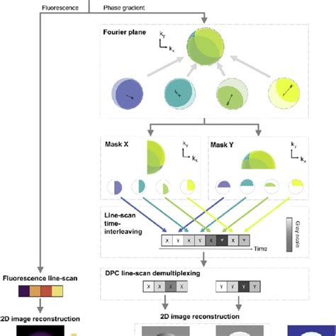 Kevin Tsia Professor Full Phd In Electrical Engineering The University Of Hong Kong