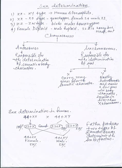 Sex Linked Inheritance Class Xii