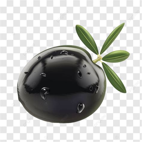 흰색 평면도에 격리된 맛있는 검은 올리브와 잎 건강한 지방 섬유질의 원천 블랙 올리브 Png 일러스트 및 이미지 에 대한 무료 다운로드 Pngtree