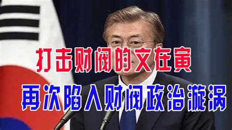 财阀控制下的韩国经济，催生出保守和改革两派见智财经 梨视频官网 Pear Video