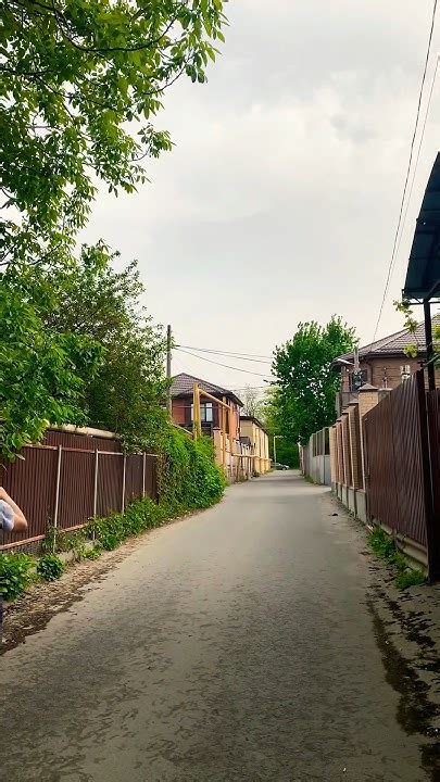 Такого большого грецкого ореха я не видел никогда🤯🤯 видео топ