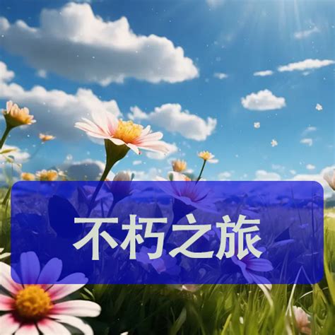 不朽之旅游戏百科 排行榜123网