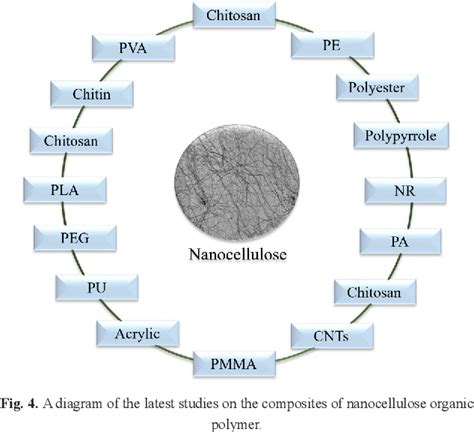 Figure 3 From Application Of Nanocellulose Composites In The