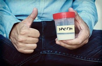 What Is It Like To Donate Sperm At A Sperm Bank Apollo Fertility