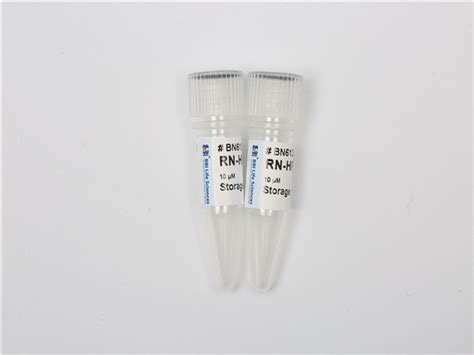 大鼠 Hprt1 内参引物，10 μm Rat Hprt1 Genes Primers For Qpcr 生命科学产品与技术服务 生工生物工程