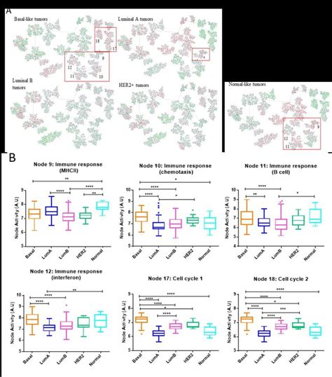 Breast Cancer Network By Breast Cancer Molecular Subtypes A Detail Of