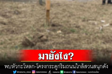 ในประเทศ ผงะ พบหัวกะโหลก โครงกระดูกปริศนา โผล่ริมถนนใกล้สวนสนุกดัง