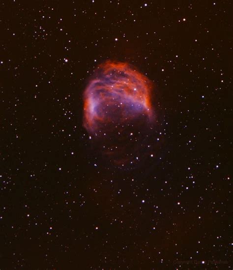 Medusa Nebula Cy Borg Astrobin