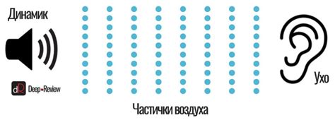 как выглядит динамик телефона