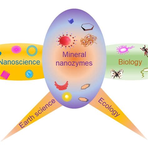Pdf Nanozyme Mediated Elemental Biogeochemical Cycling And Environmental Effects
