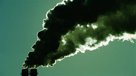 Obiettivo Net Zero Per Le Aziende I Passi Per Abbattere Le Emissioni