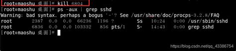 Linux终止进程linux终止进程号为5124的进程 Csdn博客