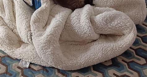 Warm Throne Album On Imgur