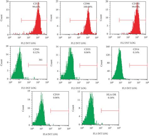 Flow Cytometric Analysis Of Surface Markers Expressed On Hucb Mscs And