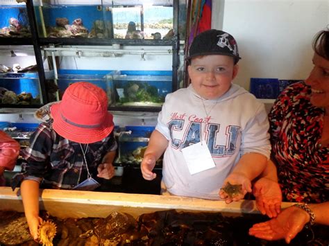 The Bd Class Blog 150414 Today In Bd Class