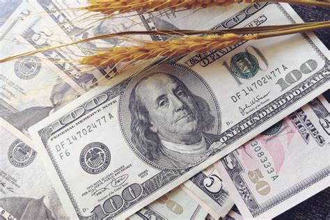 Россия продала Египту 408 тыс тонн пшеницы со скидкой 5 тонна