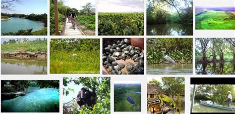 Ecoturismo en México arte y cultura Pantanos de Centla Reserva de la Biósfera Tabasco