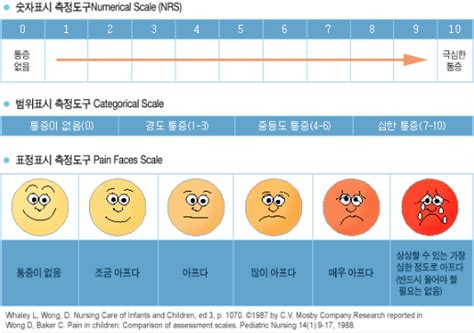통증평가척도npsflacccnpsfprs 네이버 블로그