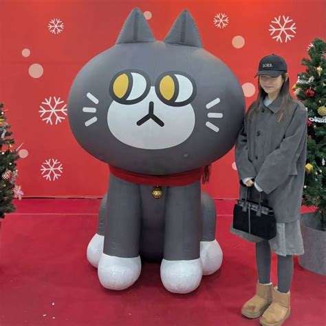 “일산 킨텍스서 만나자옹”… 궁디팡팡 캣페스타 개막 D 10 세계일보