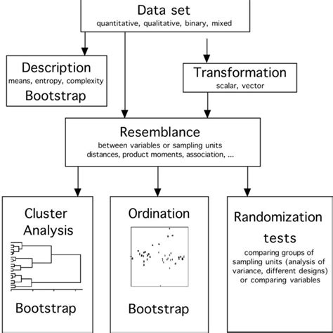 Flow Diagram For Exploratory Analysis And Randomization Testing With