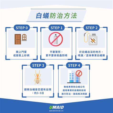 白蟻防治怎麼做？3分鐘教你懂白蟻習性、白蟻防治妙招