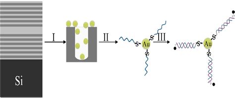 Figure 1 From Metal Nanoparticlesporous Silicon Microcavity Enhanced