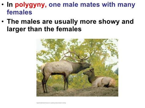 Ap Chap 51 Animal Behavior
