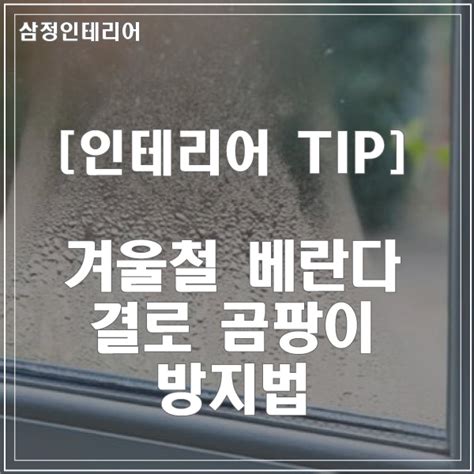 인테리어 Tip 겨울철 베란다 결로 현상 곰팡이 예방 창문 습기 생기는 이유 방지법 알아보기 네이버 블로그