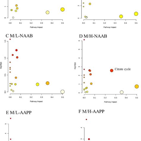 Metabolic Pathway Analysis Generated With The Metaboanalyst Software