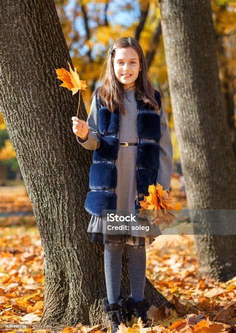 가을 도시 공원에서 노란 단풍잎을 들고 포즈를 취하는 소녀 놀고 즐기는 아이 나무 근처에 서 아름다운 자연 밝고 화창한 날 10월에 대한 스톡 사진 및 기타 이미지 Istock