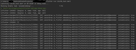 Clarify Terminal Responses To Example On Persist Data With SQLite