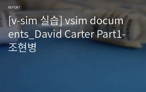 V Sim 실습 Vsim Documentsdavid Carter Part1 조현병 레포트