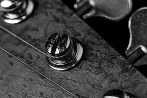 Bass Guitar Parts Your Comprehensive Guide