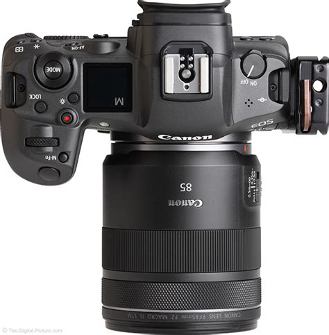 First Looks at Canon RF 85mm F2 Macro IS STM Lens Image Quality