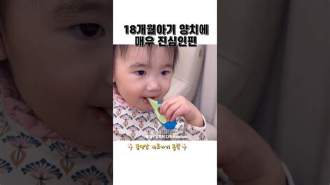 매서운 눈빛으로 분노의 양치질 차인표인줄 😅 육아브이로그 아기브이로그 육아일상 아기쇼츠 귀여운아기 아기양치질