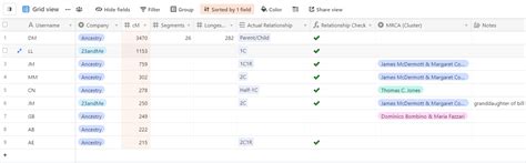 Dna Match Spreadsheet Genealogy Explained