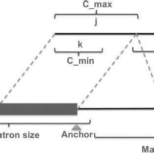 Reconstruct Unmapped Reads Using Pattern Growth Using The Mapped Read