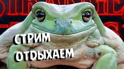 🔴 СТРИМ Я вернулся Youtube