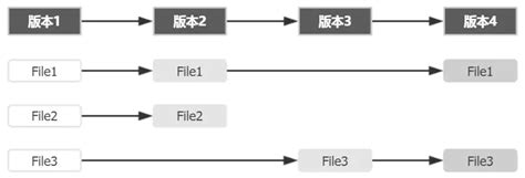 Git使用教程 配置管理