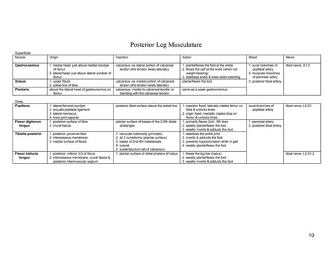 Muscle Attachment Table Compartment Wise Ppt