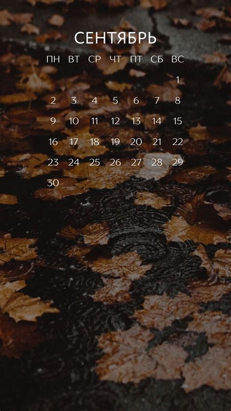 Календарь на сентябрь 2024 Calendar Design Phone Wallpaper Iphone Wallpaper