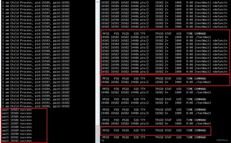 Linux进程进程控制 原因命令运行发生异常实际退出码 CSDN博客