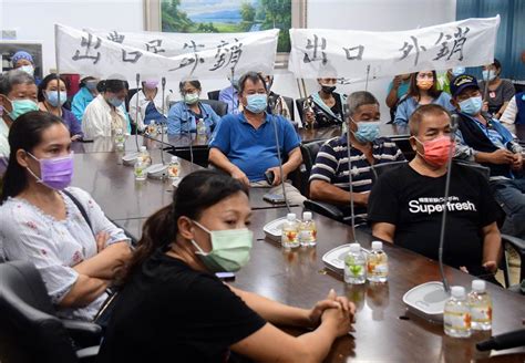 台東釋迦農請願 籲政府重新打開大陸市場、別讓農民死得很難看 政治 中時