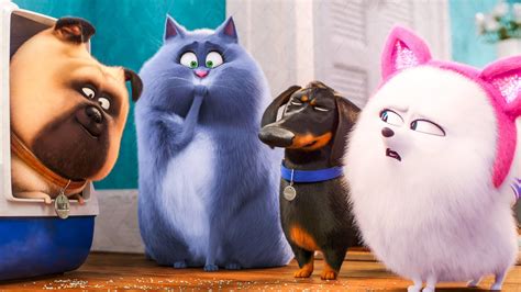 PETS A VIDA SECRETA DOS BICHOS 2 Ganha Novo Trailer Foco Em Gigi