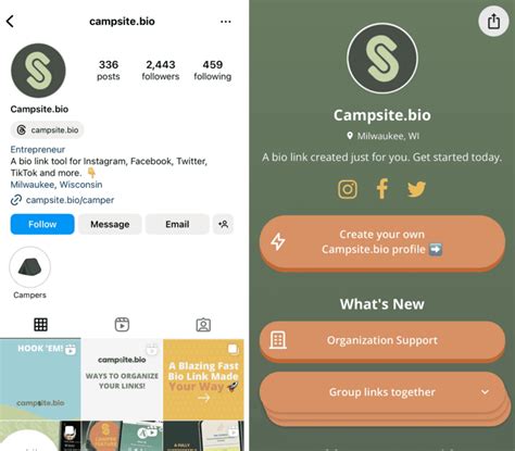 11 Best Linktree Alternatives For Your Link In Bio 2024