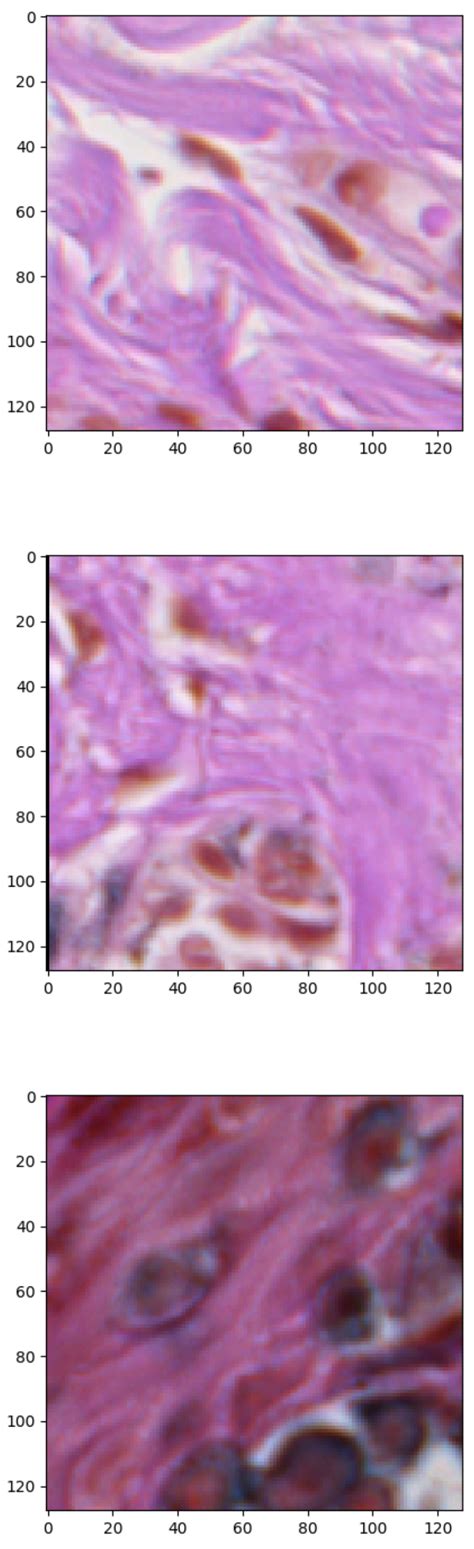 Outcomes Of The First Stage Of Autoencoder Semi Supervised Training Download Scientific Diagram