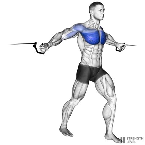 Standing Cable Chest Fly