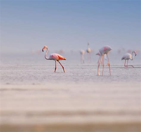 Is Sex Before Marriage Common In India R Askindia